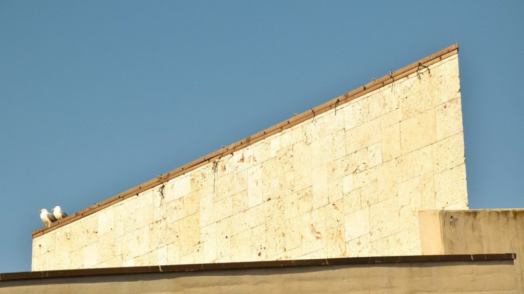 STONE CLADDING - Leonardo Marble